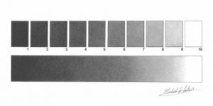 Intro to Value, Tone, Texture, and Shading (G8) – Keller's Blog Site