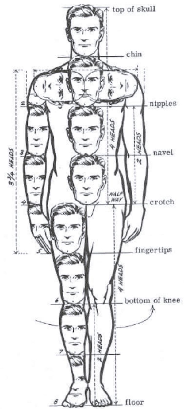 Life drawing – Body proportion – Keller's Blog Site