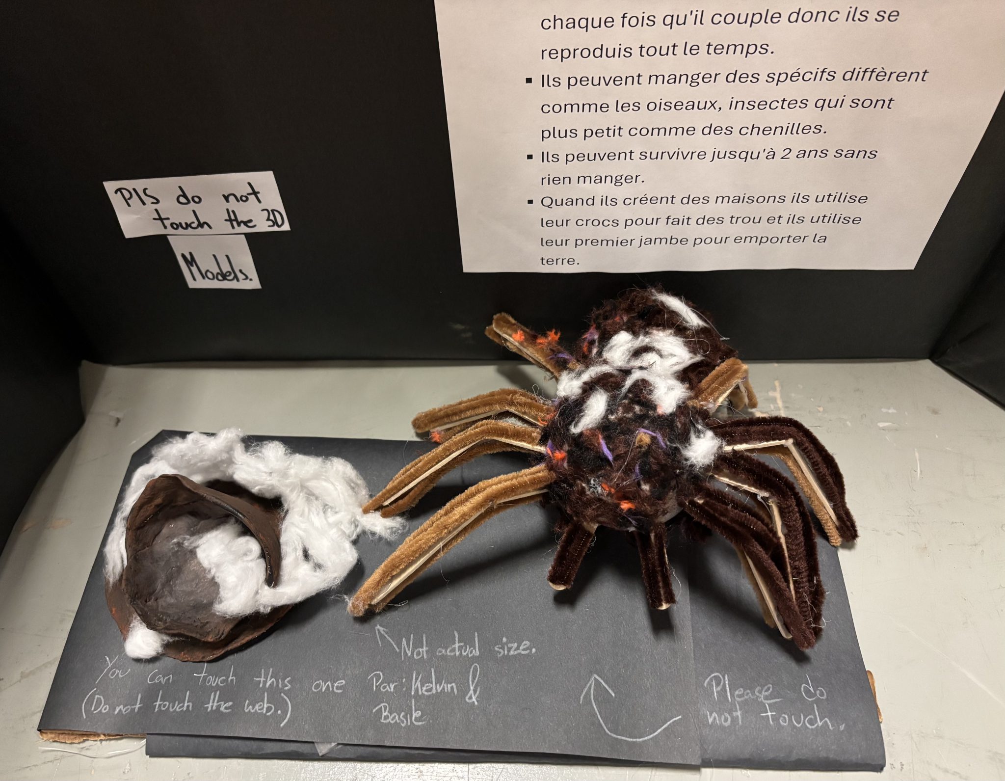 February Newsletter – Kerrisdale Elementary