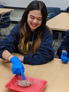 Fieldtrips & Workshops – Odyssey/AP Mini School Program