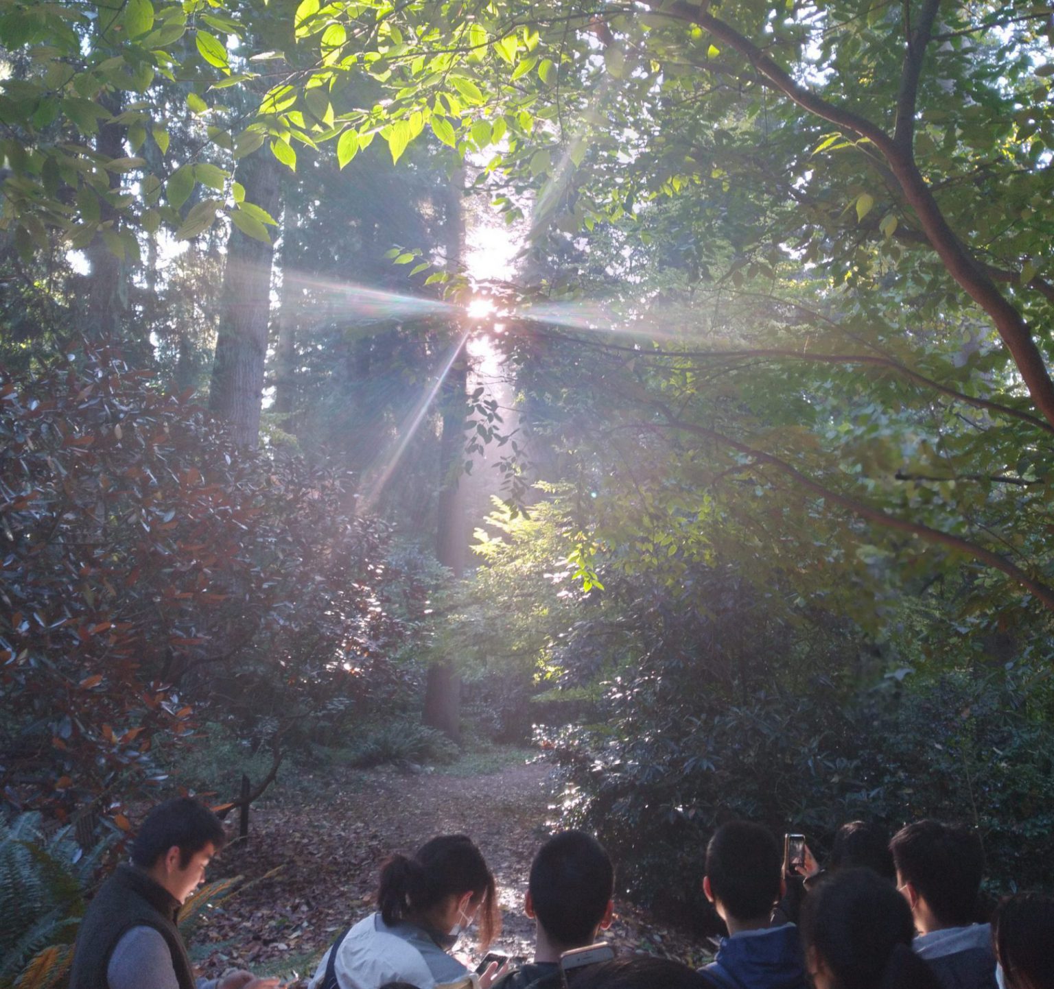 Odyssey/AP Mini School Program – David Thompson Secondary School